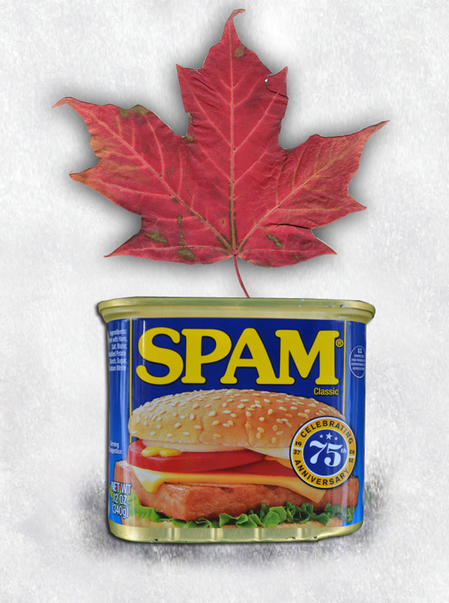 FAQ: Complying With This Harsh New Email Law